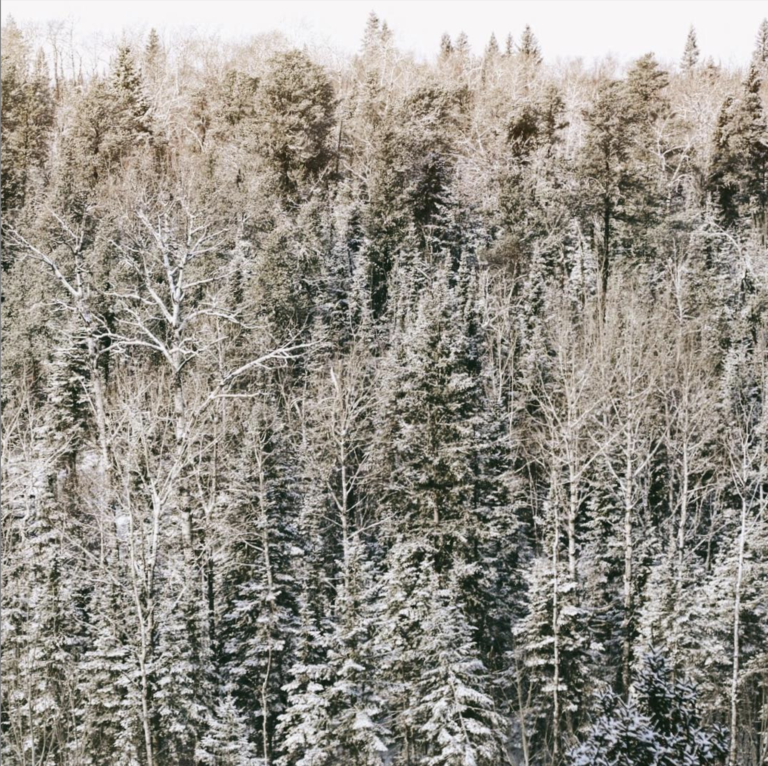 6 Winter Activities to do in the Whiteshell | Explore the Whiteshell